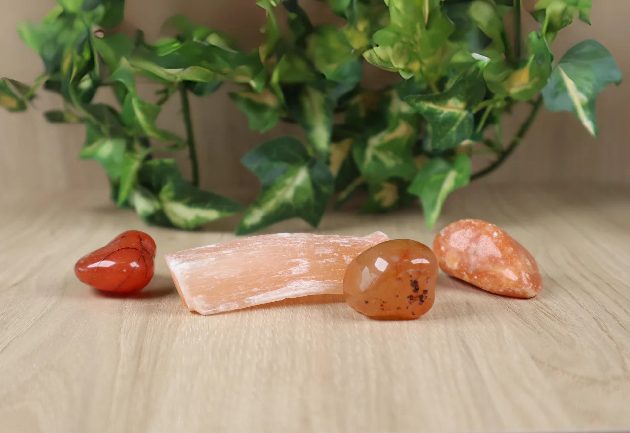 Lista De Tipos De Laranjas