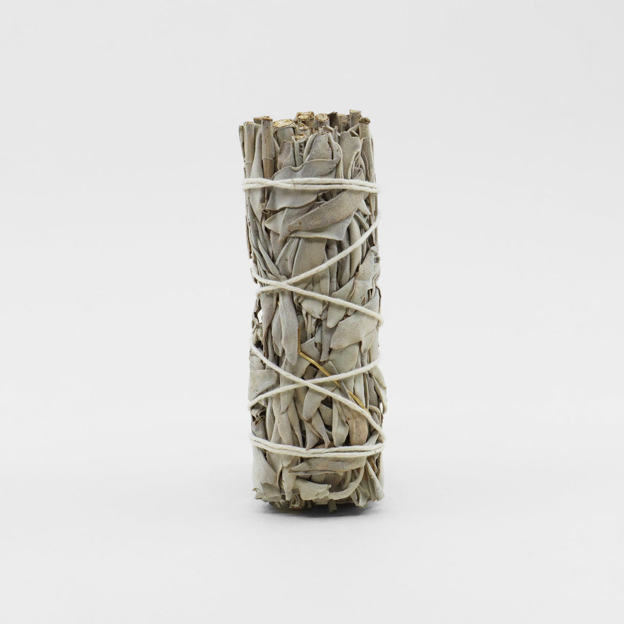 Sálvia Branca para Defumação – Loja WeMystic